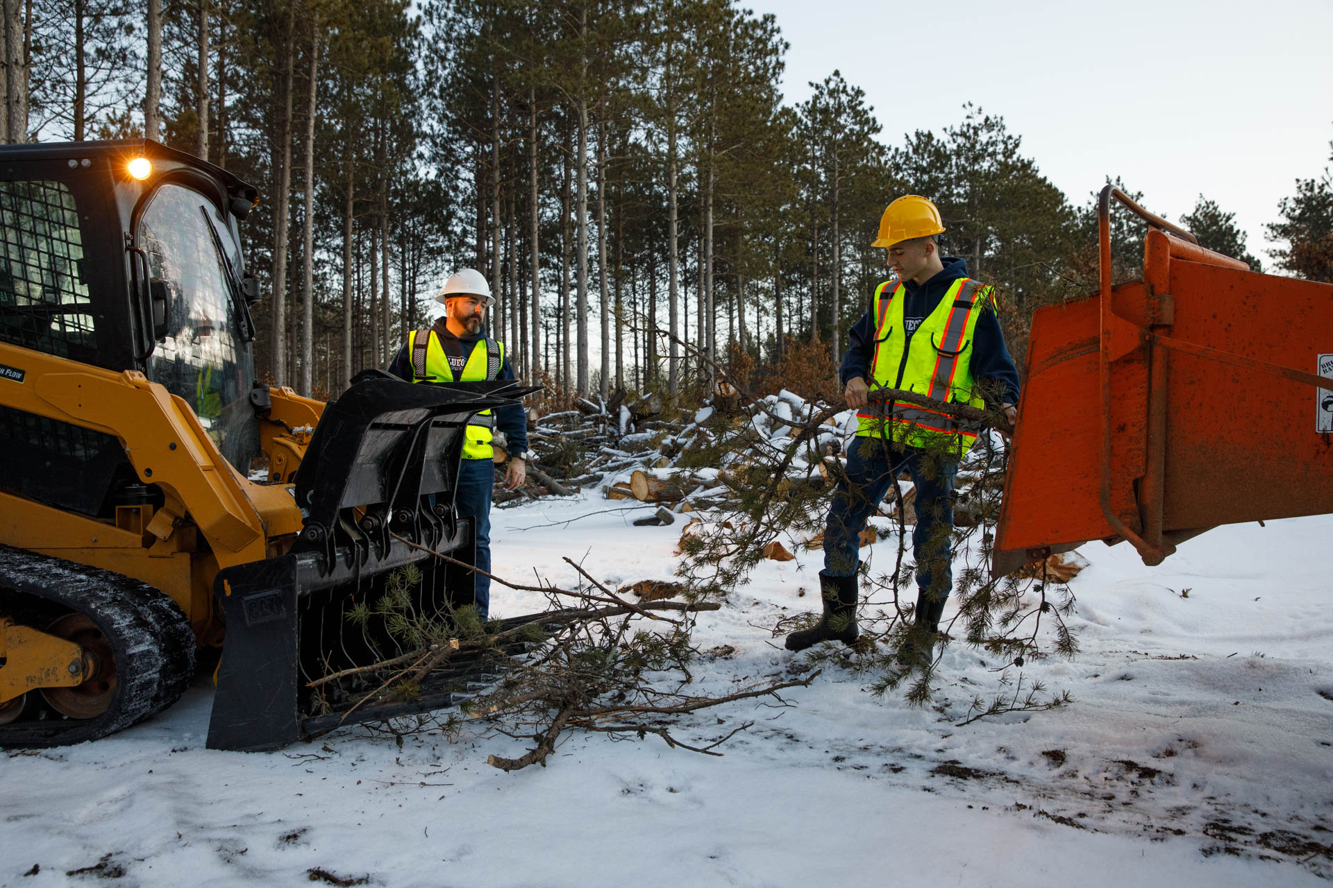 BLUECOAT Tree Service in Eau Claire and Altoona